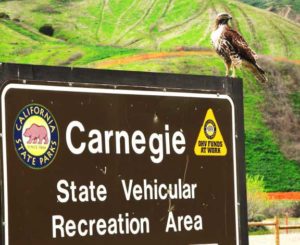 Tree Planting Day at Carnegie SVRA March 4th – District 36
